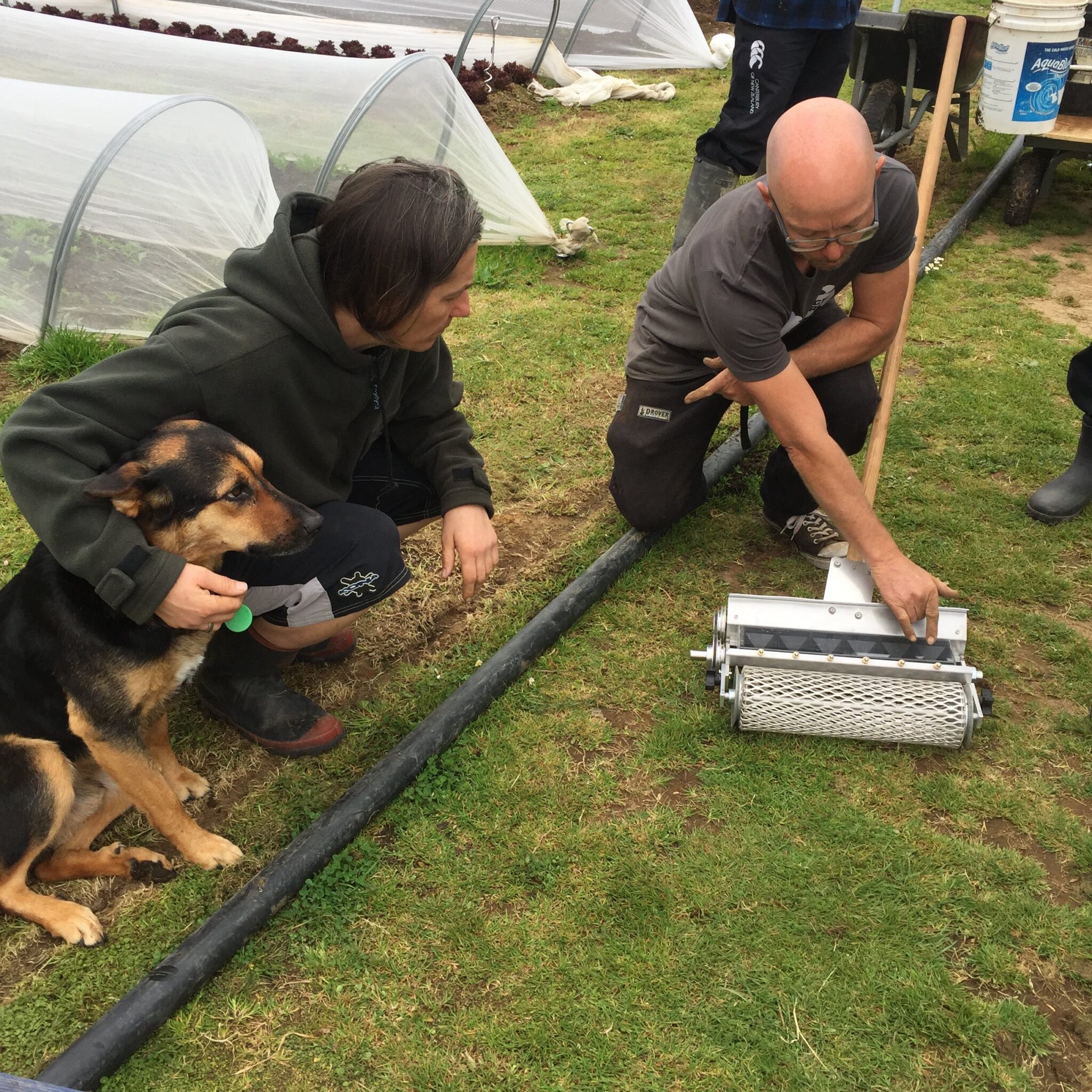 About Us - Roebuck Farm