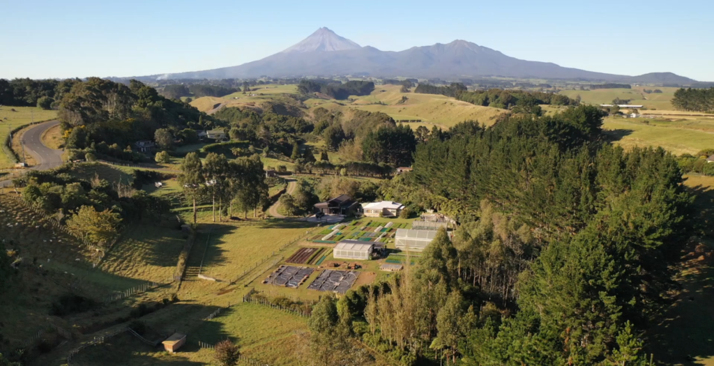 Innovate and elevate the way you farm - Market Gardening - Roebuck Farm