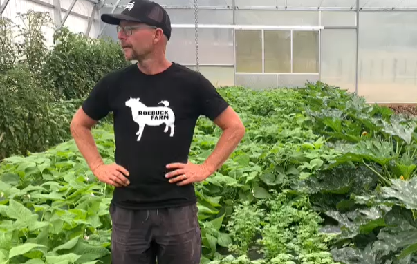 Approaches we are using in the new greenhouse - Roebuck Farm