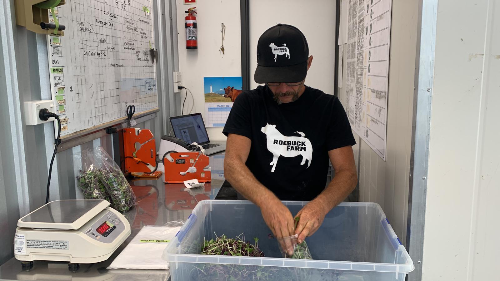 Massively extend the shelf life of your produce this way - Roebuck Farm