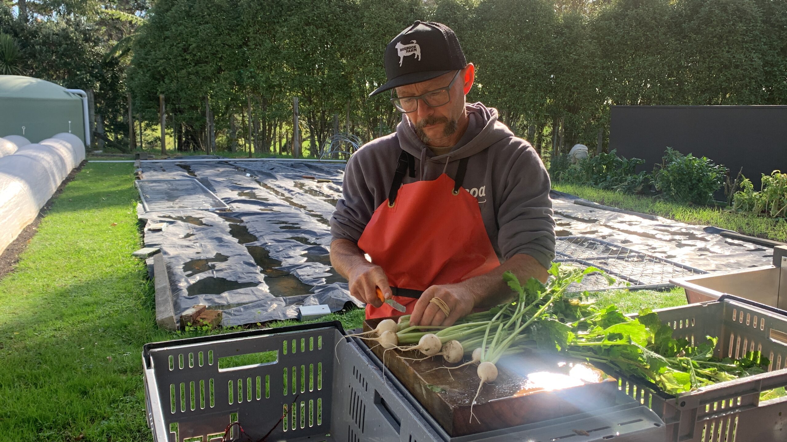 How MIXING produce is LEAN + why this MATTERS - Roebuck Farm