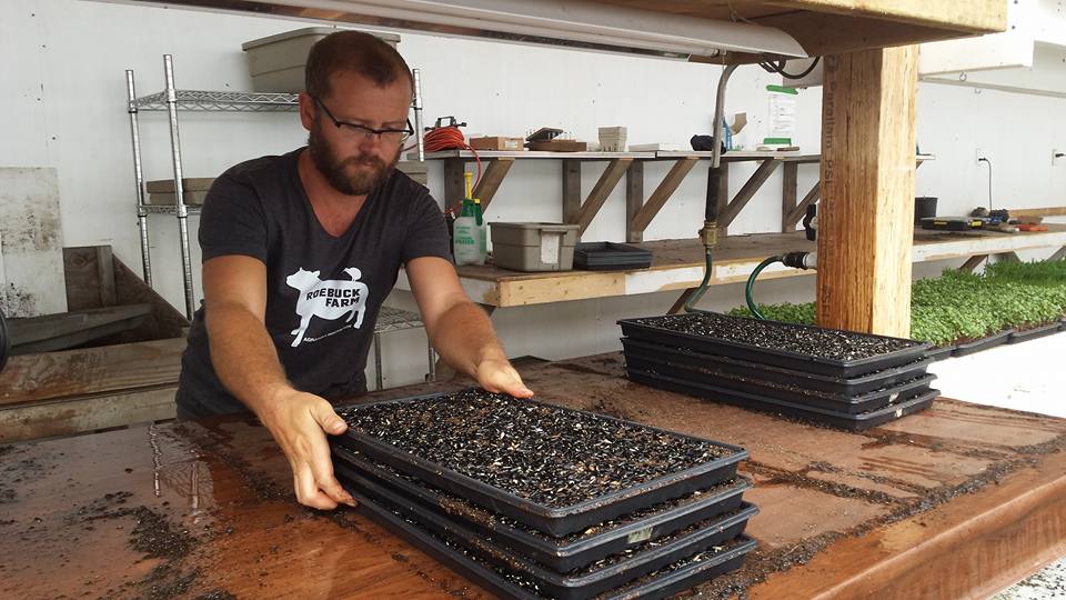 Cultivating Success: How Mentors and Mentorship Shape Roebuck Farm ...