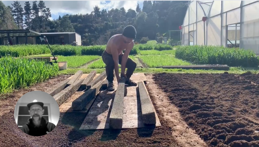 This one crop will pay you back threefold - Roebuck Farm