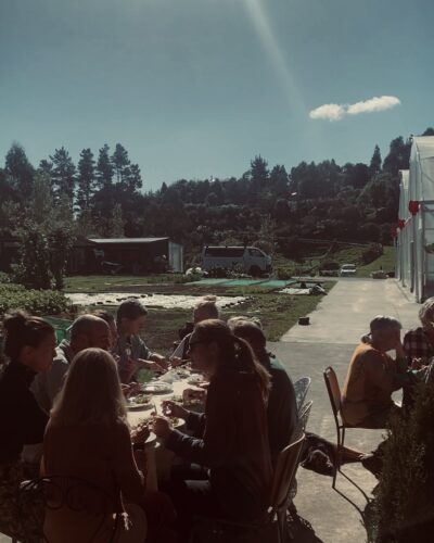 Innovate and elevate the way you farm - Market Gardening - Roebuck Farm