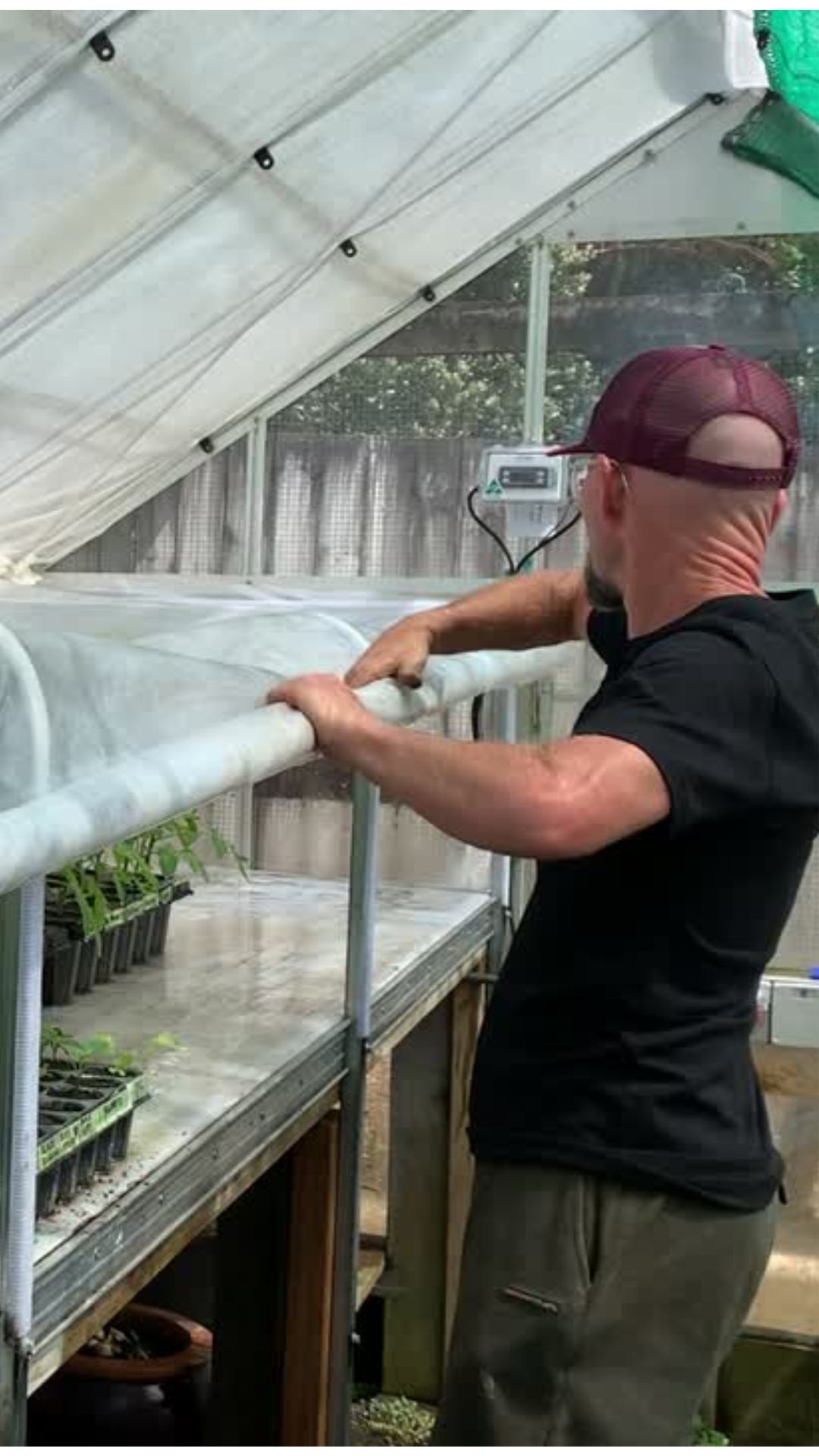 Enhancing Propagation and Microgreen Production with Adlo Heat Pads ...