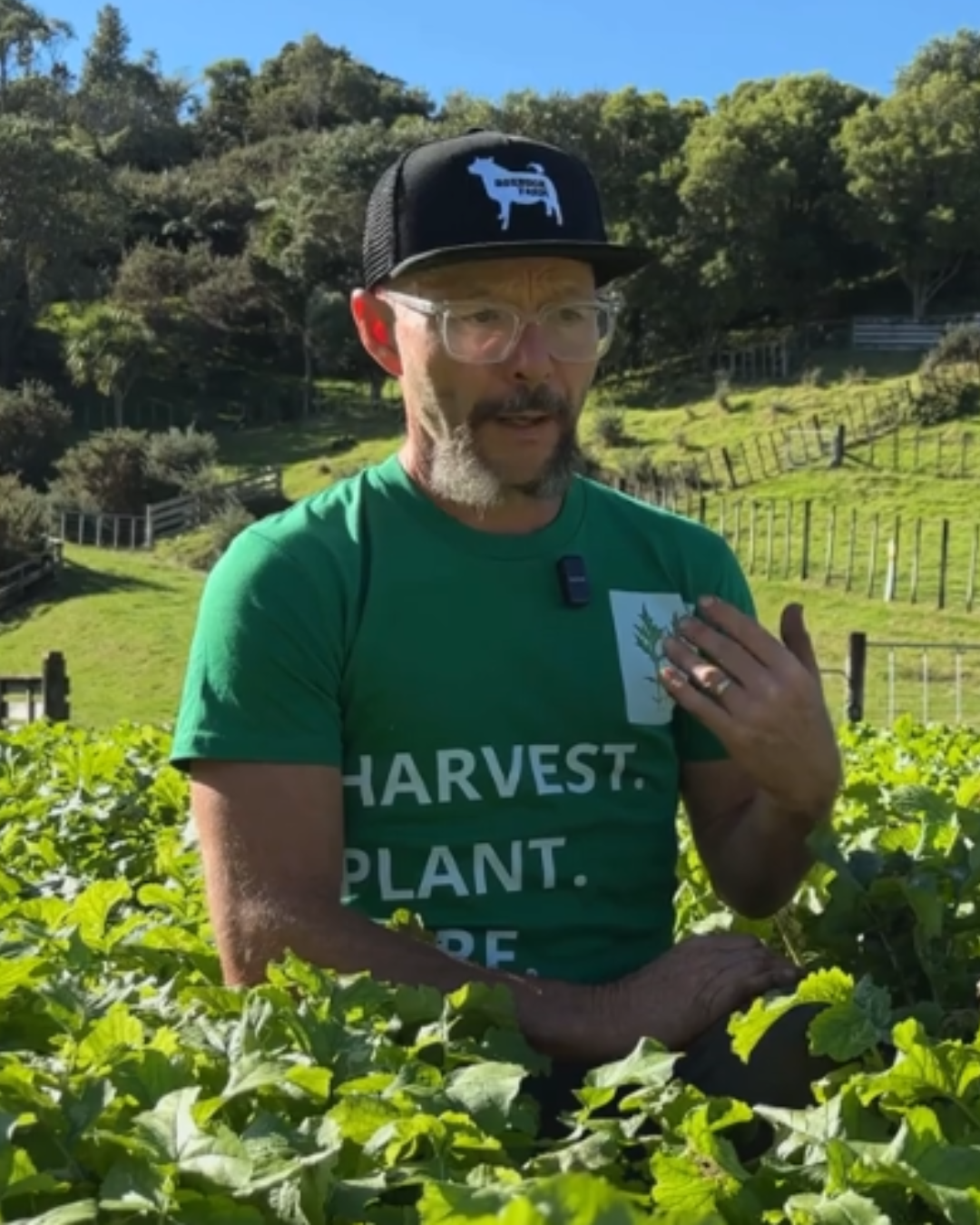 Market Garden Multi-Species Cover Cropping - Roebuck Farm