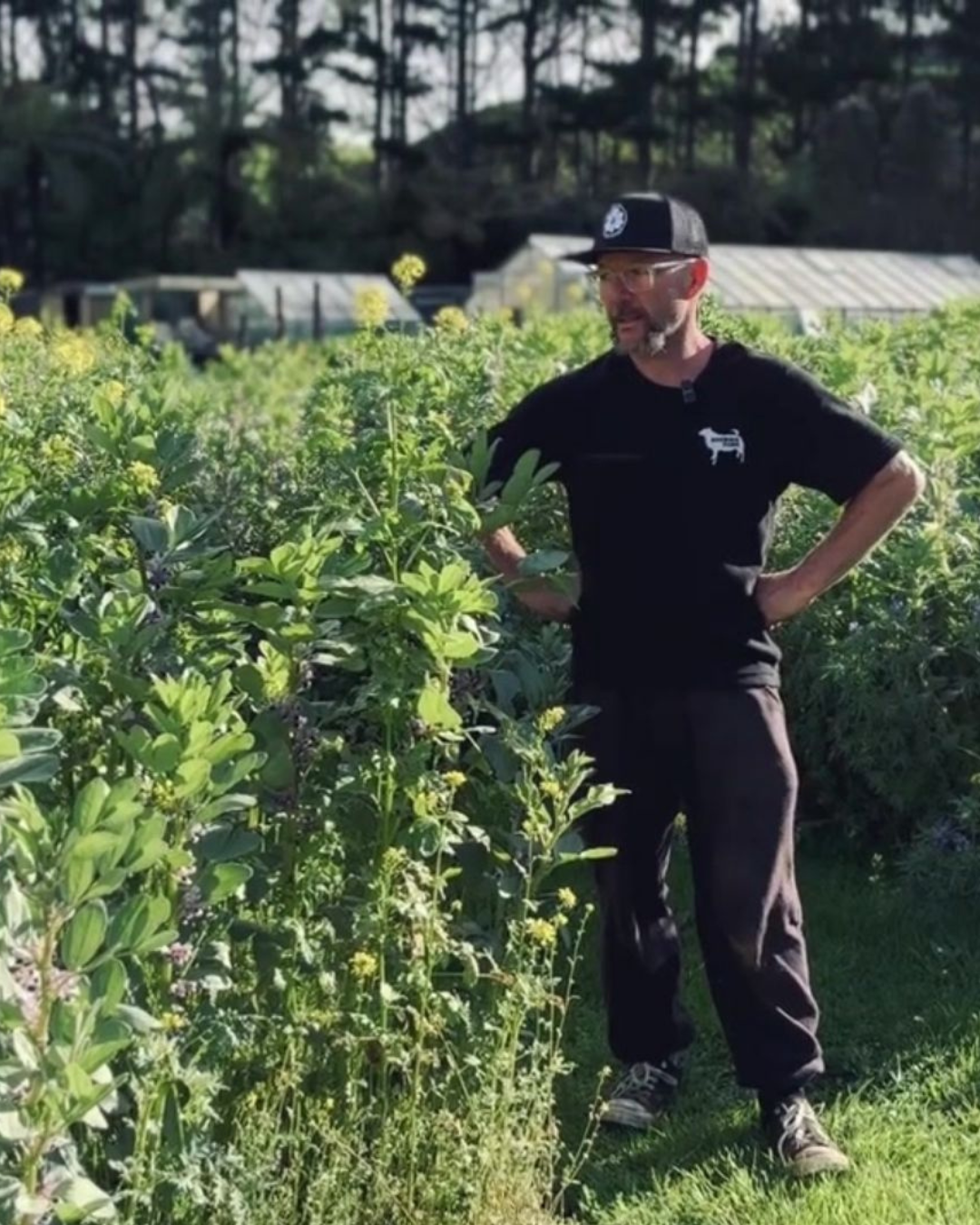 Closing the Loop: Turning Cover Crops into Compost and Soil Fertility ...